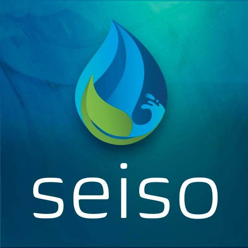 Seiso