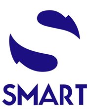 Trabajar en Smart AE México - Información Laboral Marzo 2025
