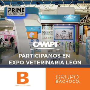 Trabajar en Grupo Bachoco México - Información Laboral Octubre 2025