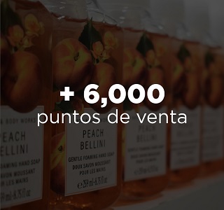 Trabajar en Grupo Axo México - Información Laboral Mayo 2026