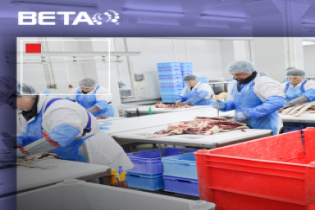 Beta Procesos, SA de CV - Trabaja con nosotros | Pandapé