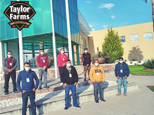 TAYLOR FARMS DE MEXICO S DE RL DE CV