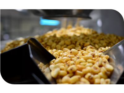 Trabajar en INKA CROPS S.A Perú - Información Laboral Diciembre 2025