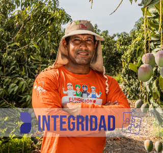 Trabajar en DOMINUS Perú - Información Laboral Octubre 2025