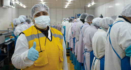 Trabajar en DOMINUS Perú - Información Laboral Octubre 2025