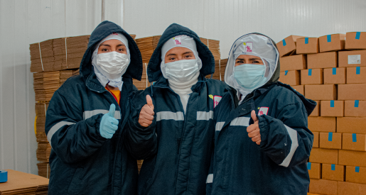 Trabajar en DOMINUS Perú - Información Laboral Octubre 2025