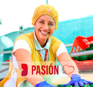 Trabajar en DOMINUS Perú - Información Laboral Octubre 2025