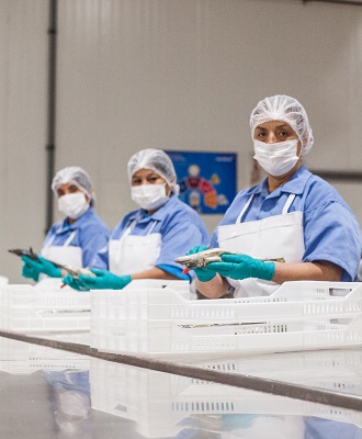 Trabajar en Pesquera HAYDUK S.A. Perú - Información Laboral Septiembre 2023
