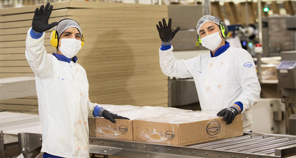 Trabajar en Agrosuper S.A. Chile - Información Laboral Septiembre 2024