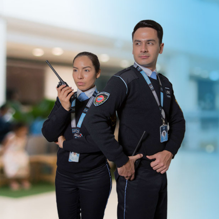 ISEG Chile SpA - Trabaja con nosotros | Pandapé