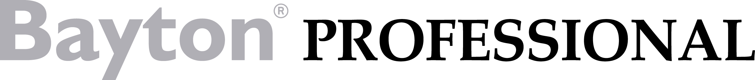 Trabajar en Bayton Argentina - Información Laboral Diciembre 2025