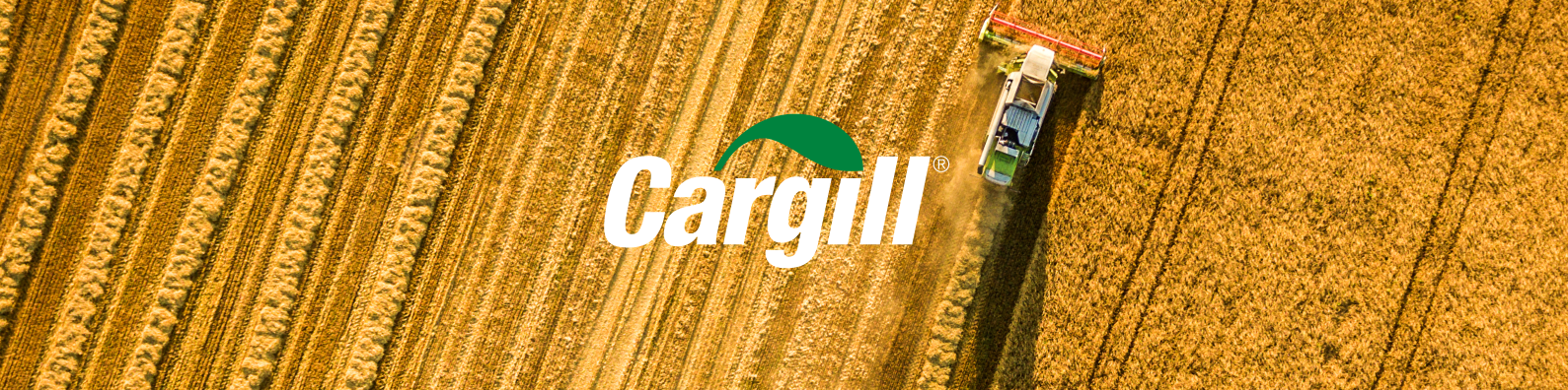 Trabajar en Cargill Guatemala - Información Laboral Diciembre 2025